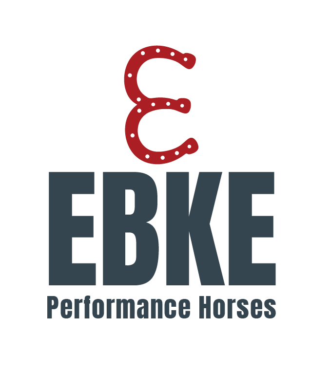Ebke – Training – Horner & Ebke Performance Horses